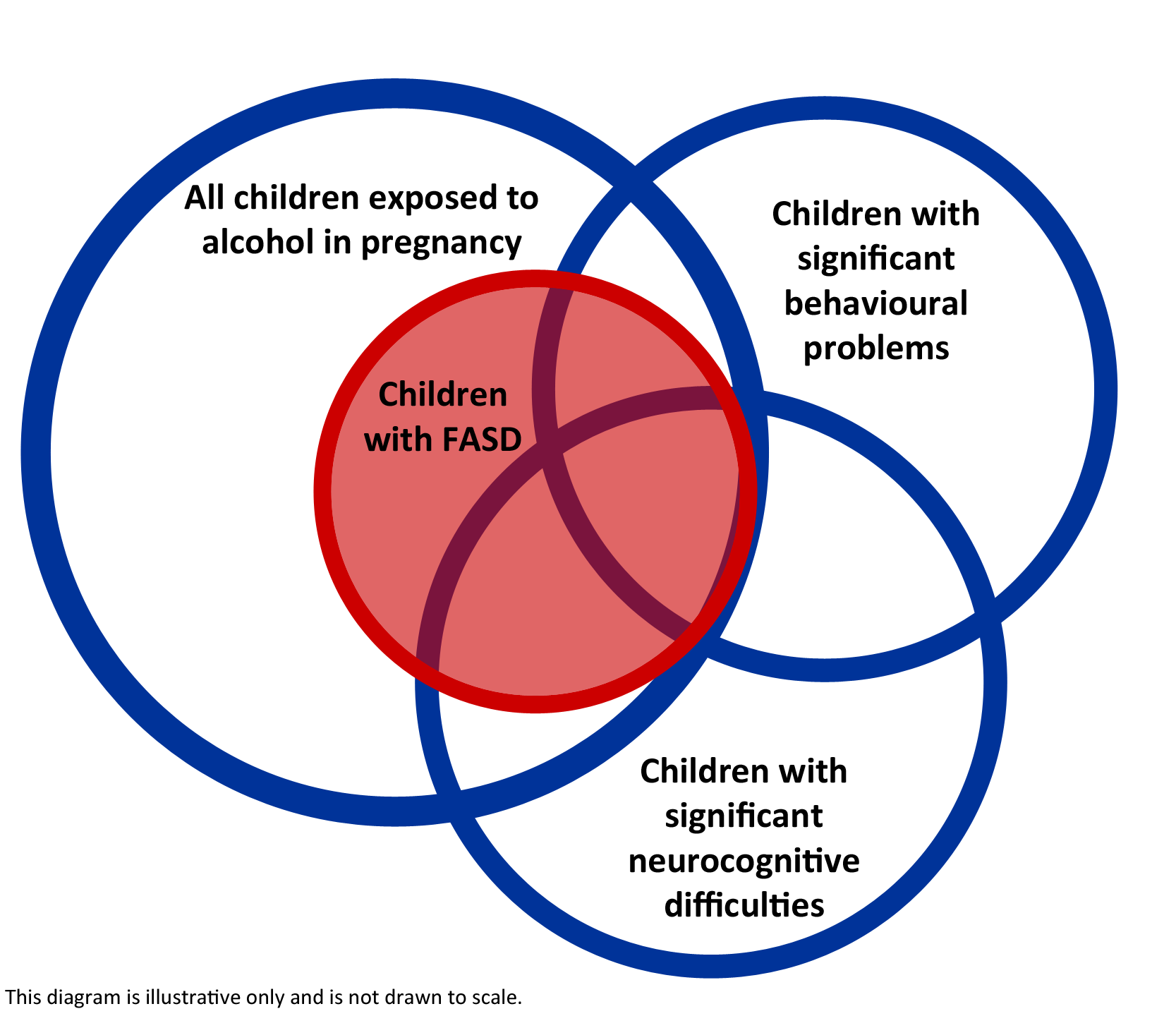 Fetal alcohol spectrum disorder and learning | Inclusive Education